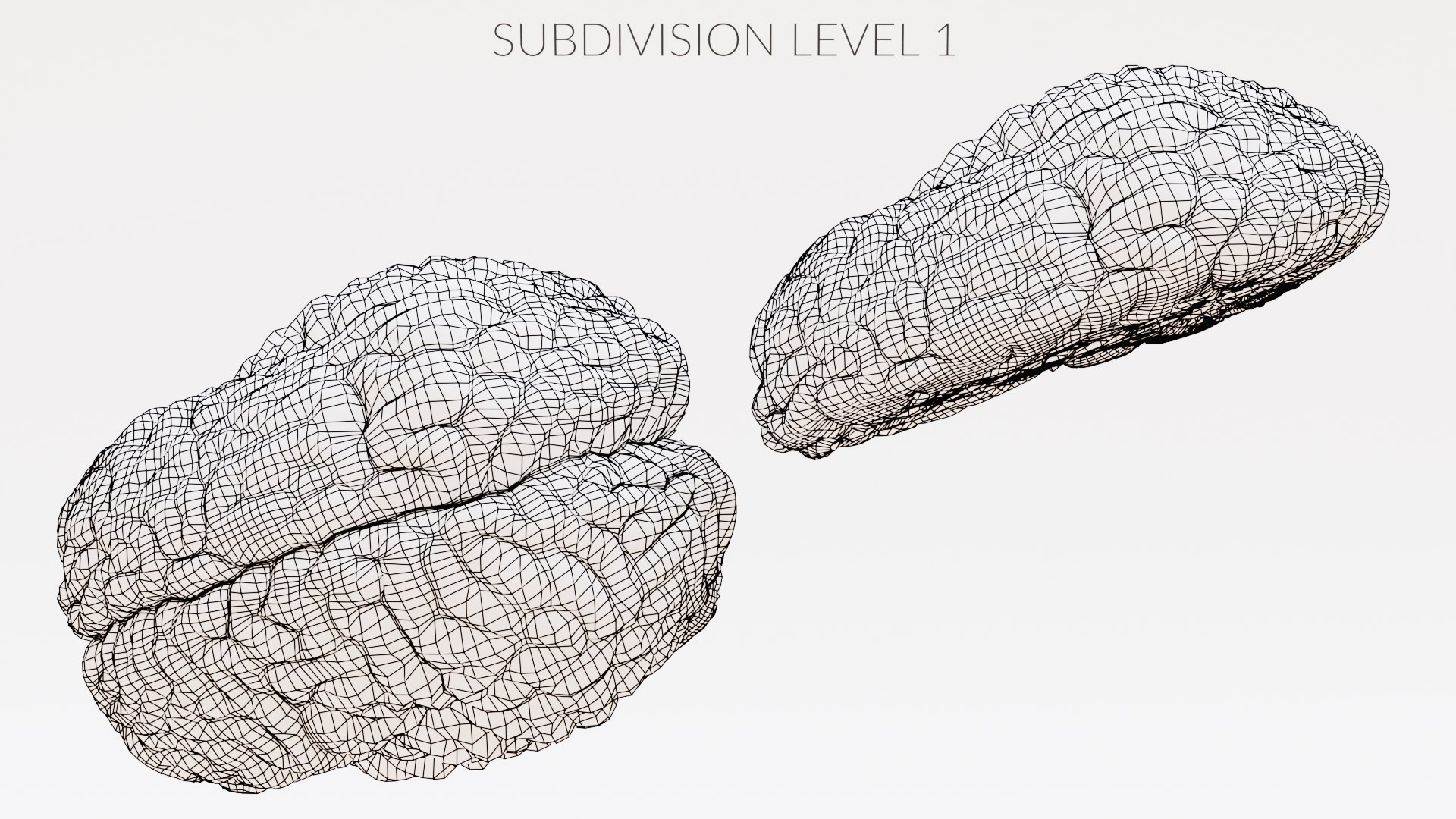 3D Realistic Brain Set - TurboSquid 2023928