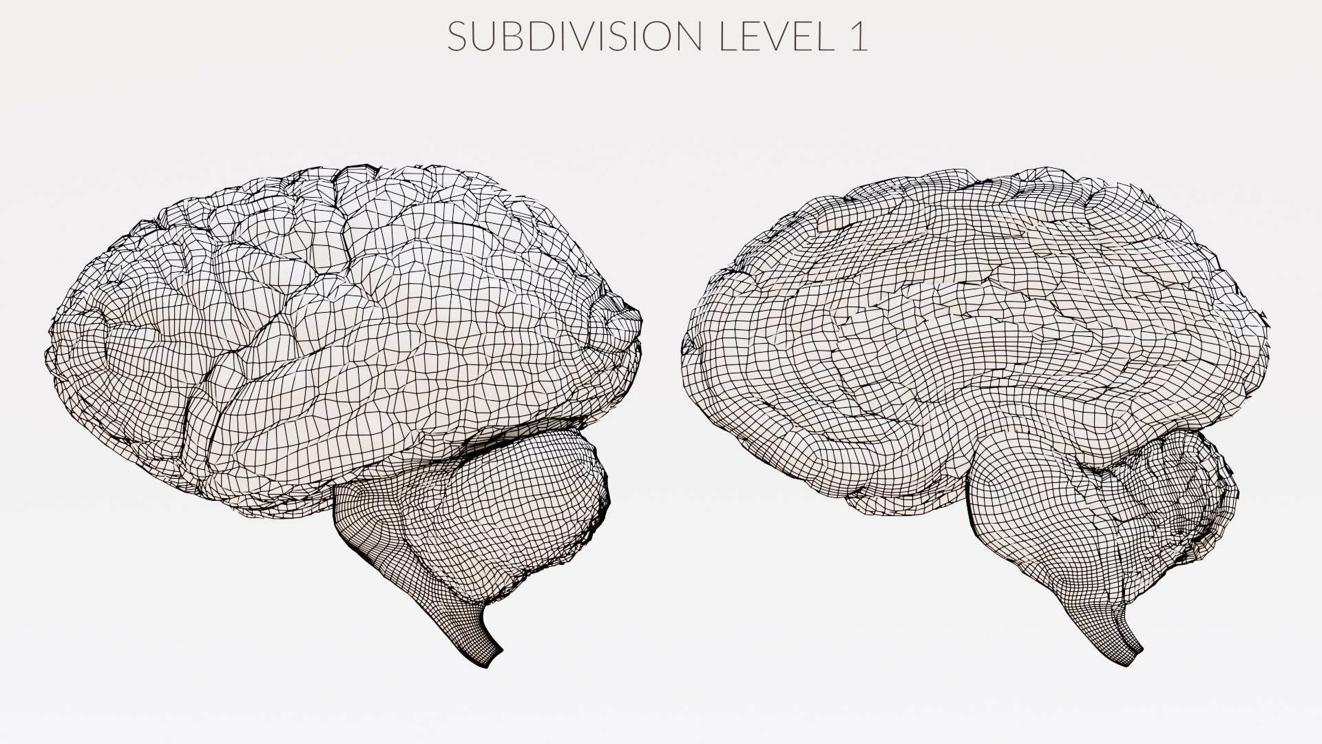 3D Realistic Brain Set - TurboSquid 2023928