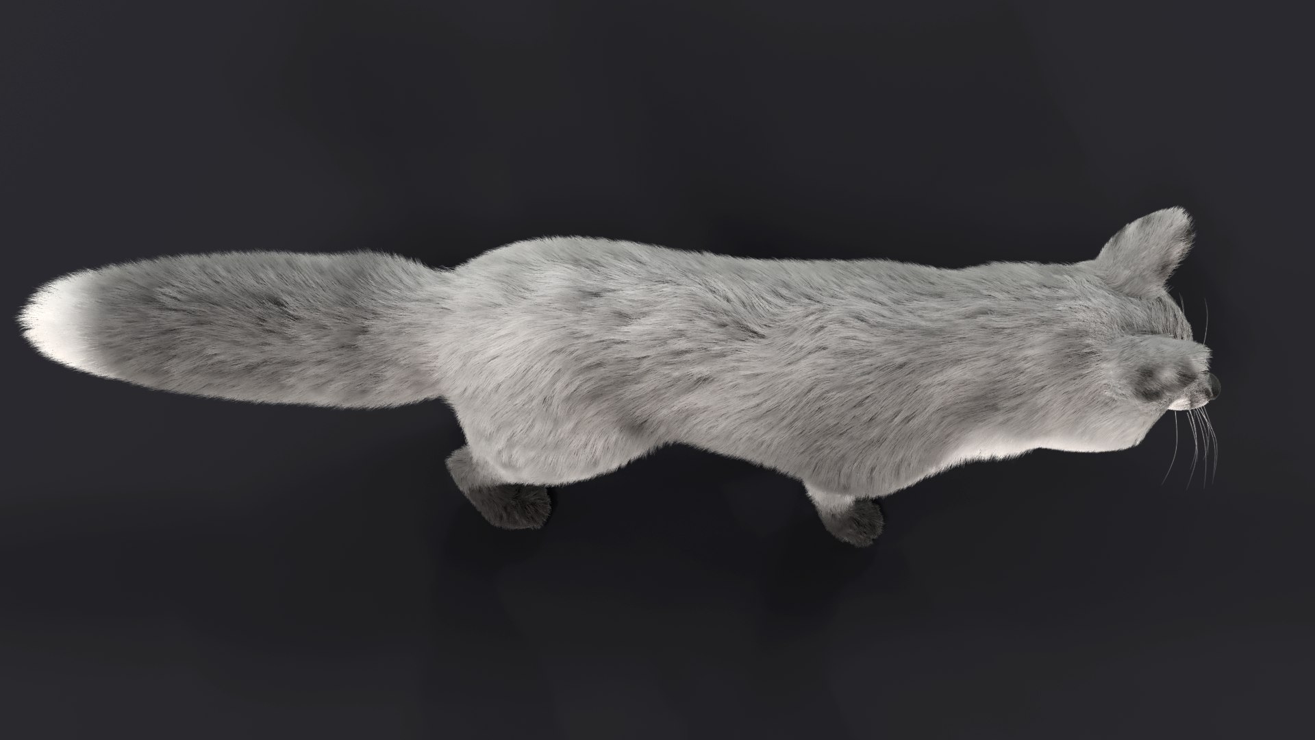 Fur Gray Fox Rigged Model model - TurboSquid 1722732