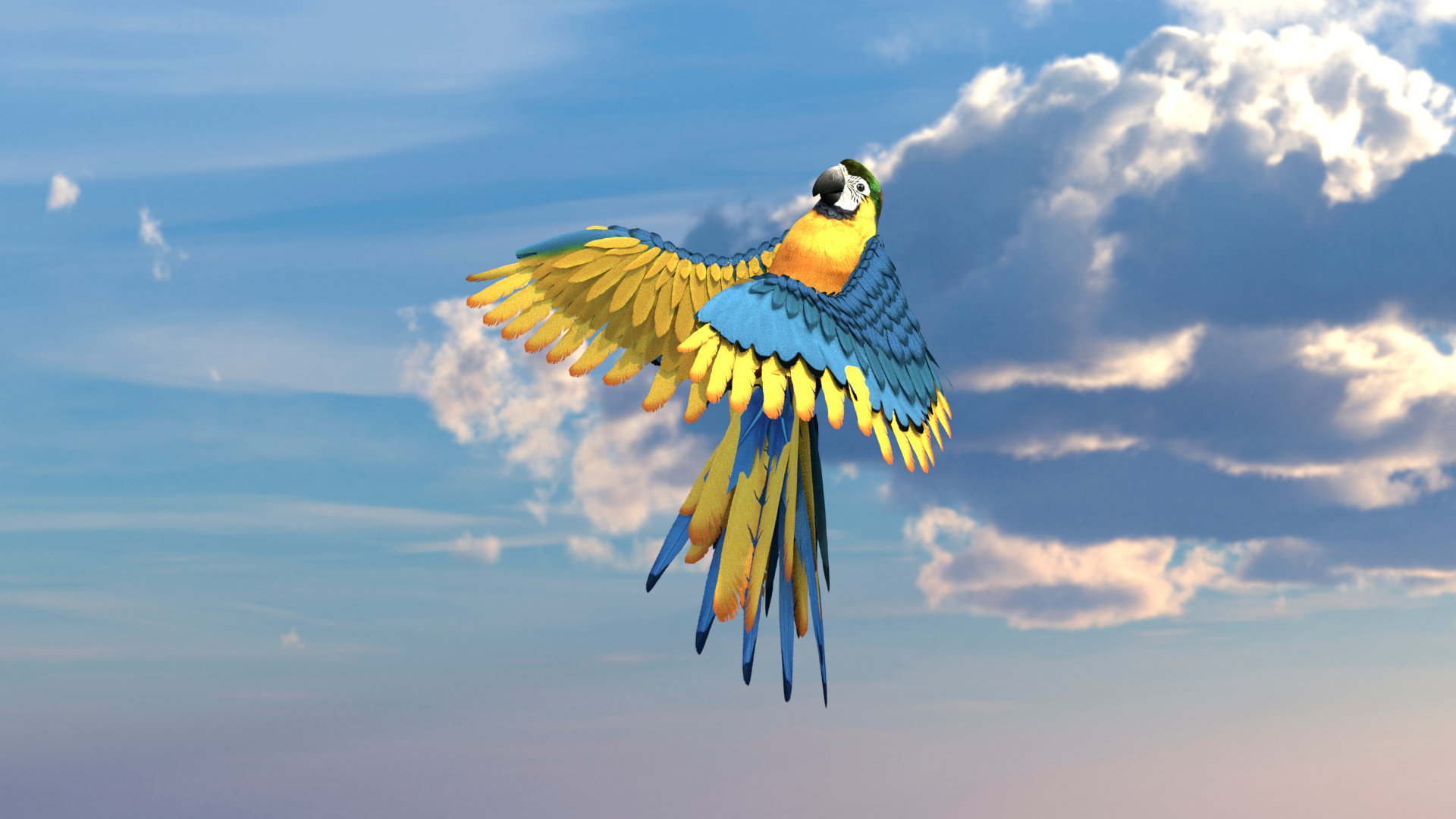 3D Parrot - TurboSquid 2093015