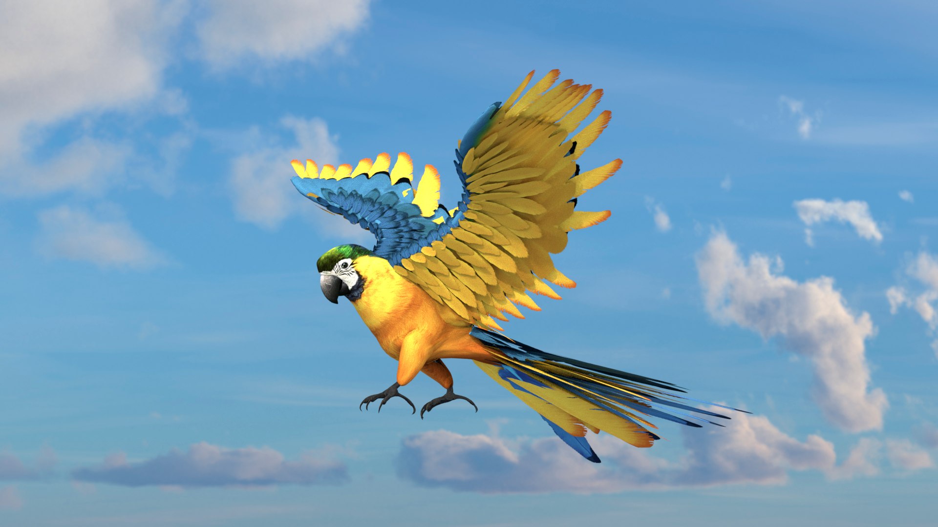 3D Parrot - TurboSquid 2093015