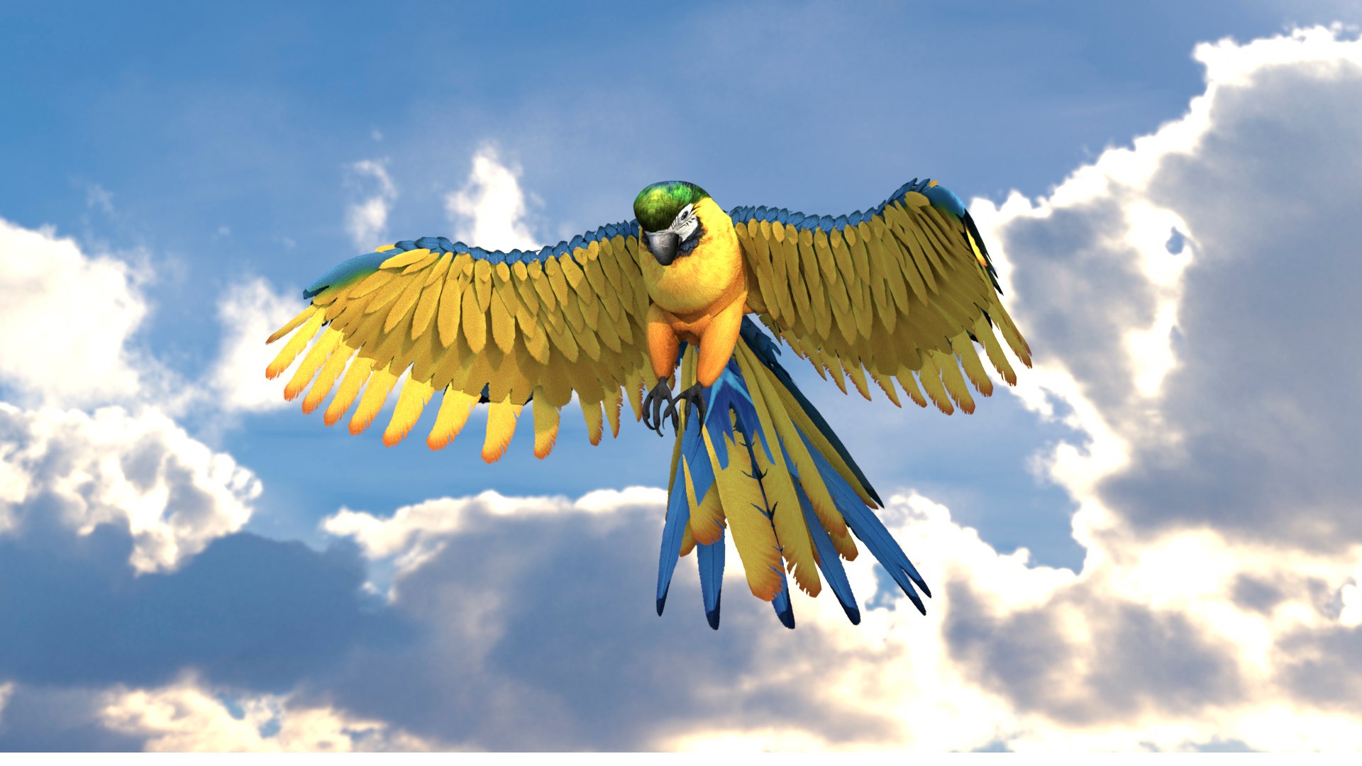 3D Parrot - TurboSquid 2093015