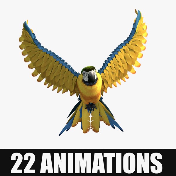 modelo 3d Parrot - TurboSquid 2093015