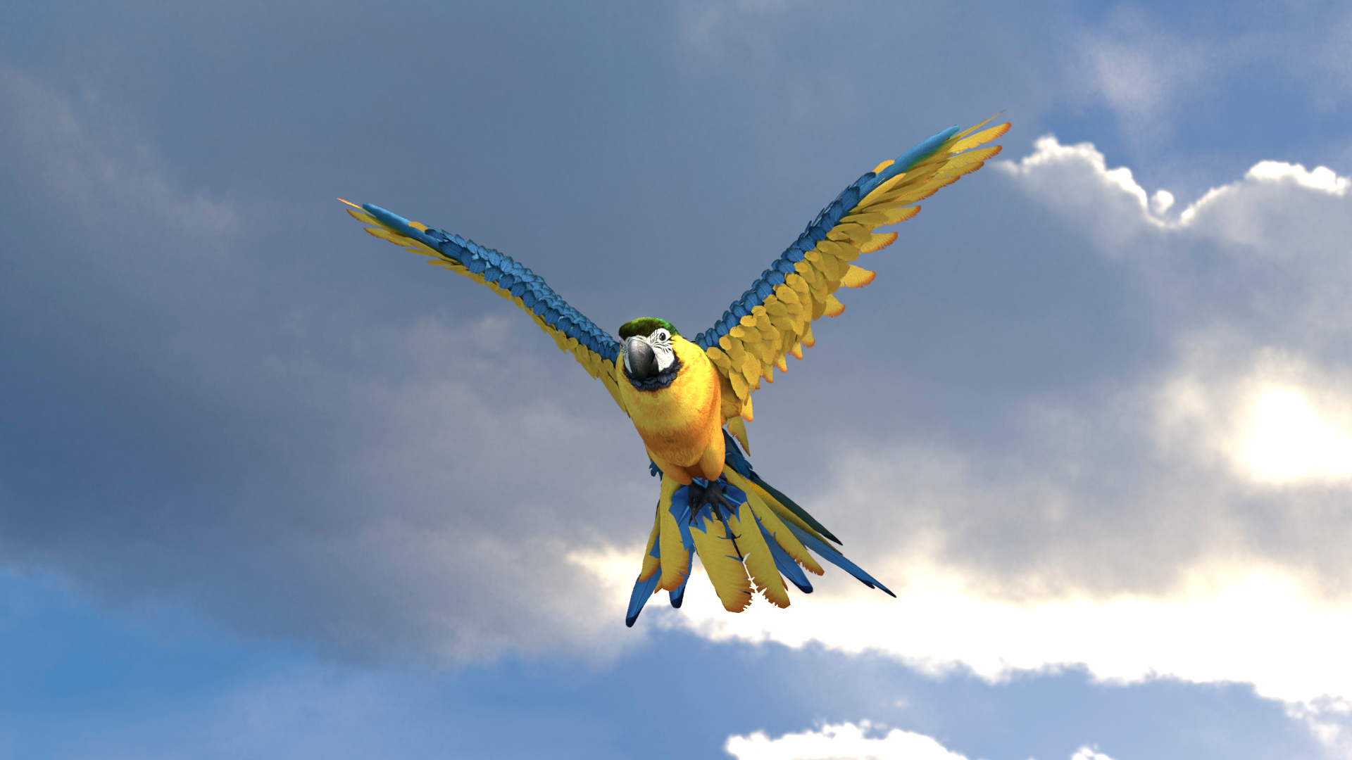 3D Parrot - TurboSquid 2093015