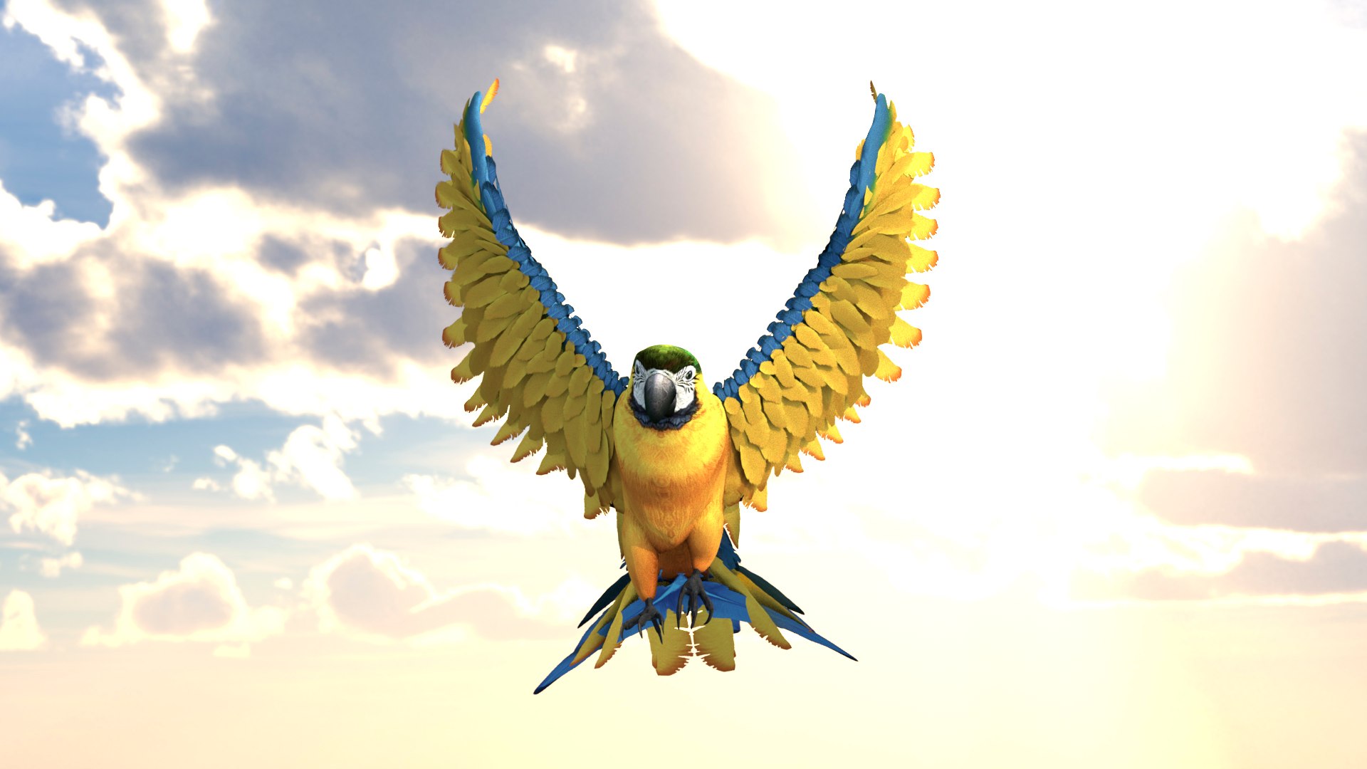 3D Parrot - TurboSquid 2093015