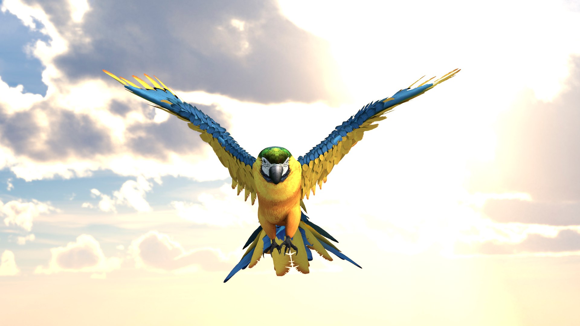 3D Parrot - TurboSquid 2093015