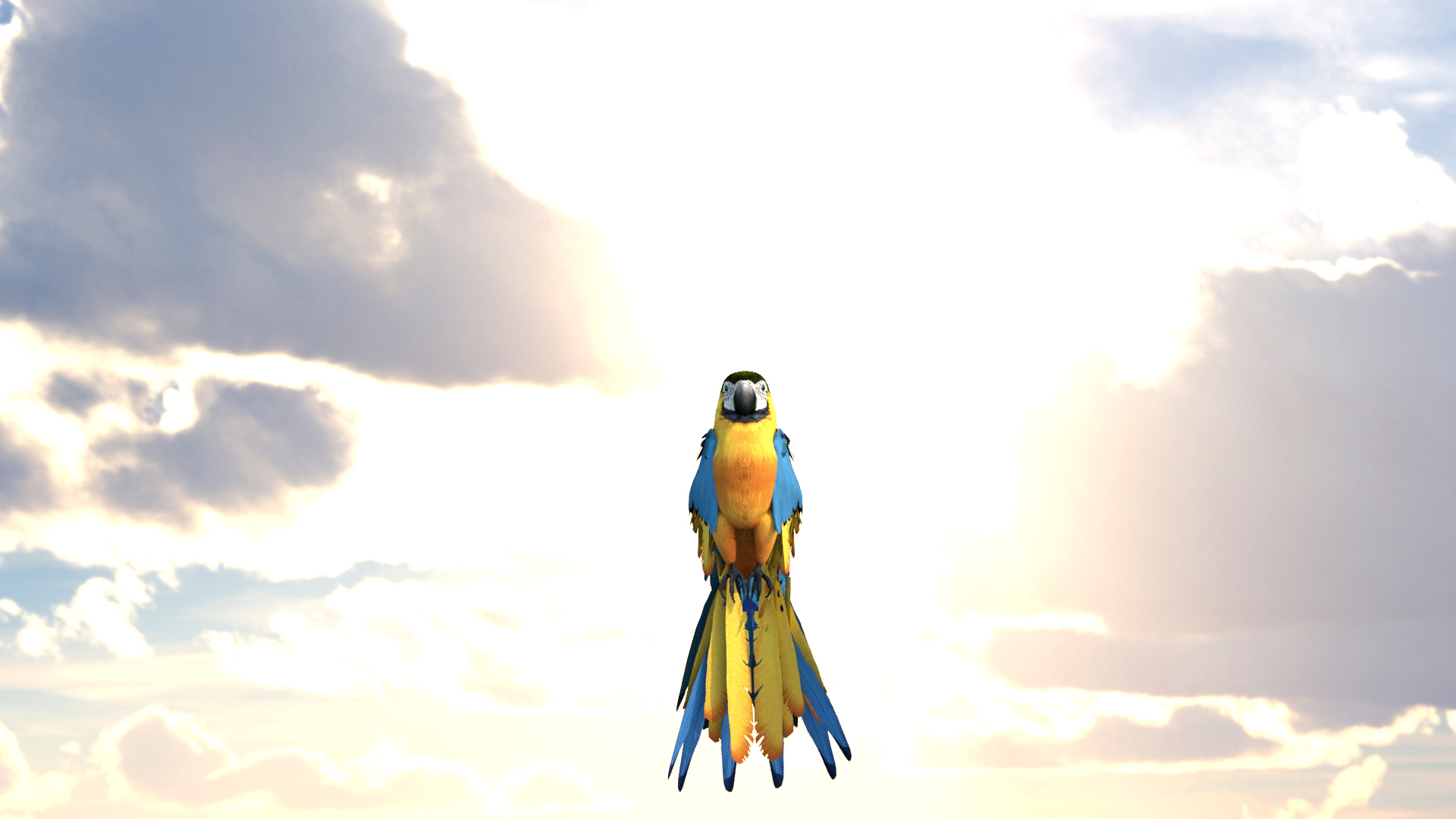 3D Parrot - TurboSquid 2093015