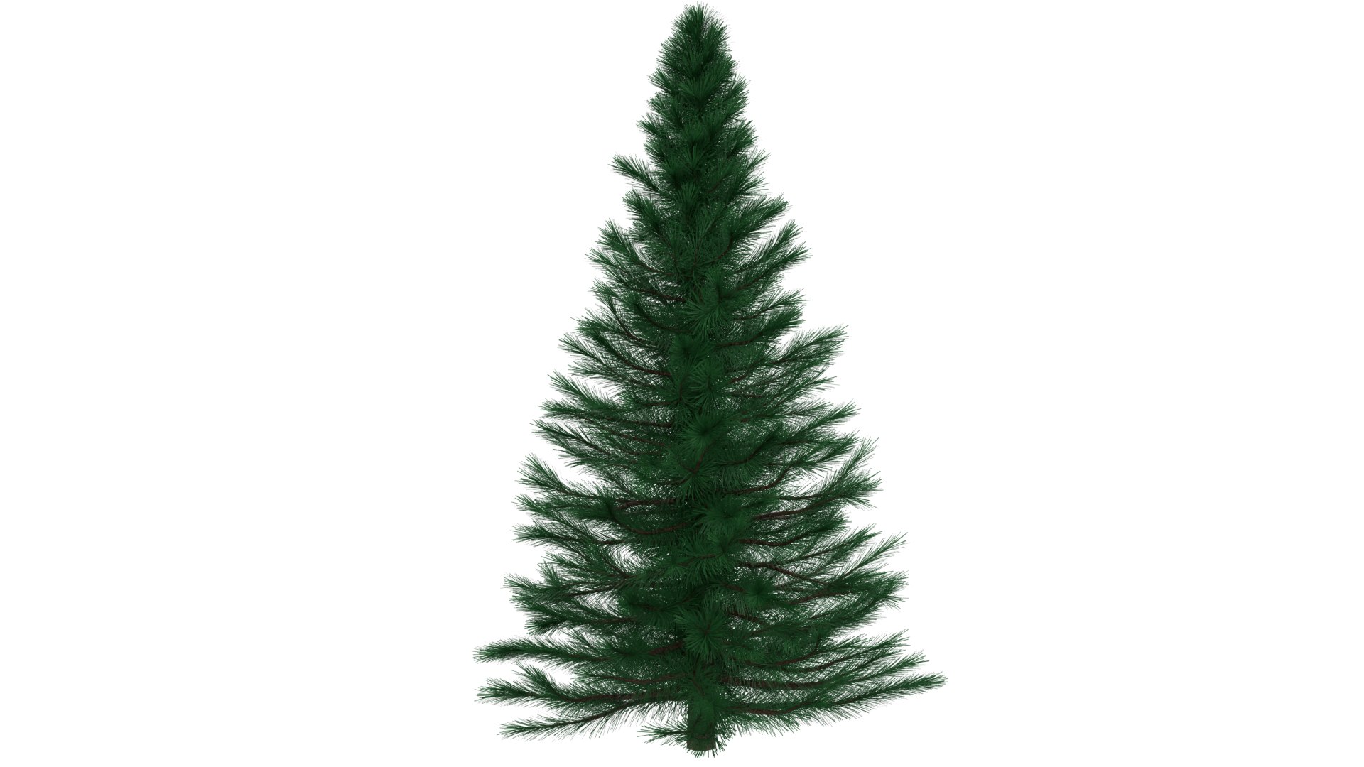 Fir Tree Model - TurboSquid 2366697