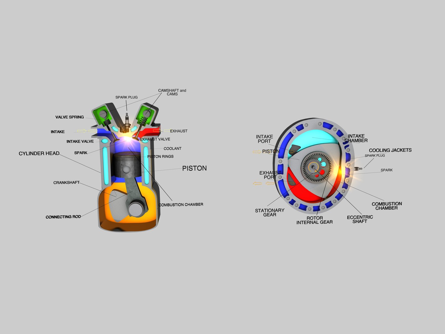 3d Educational Engine Rotary Model