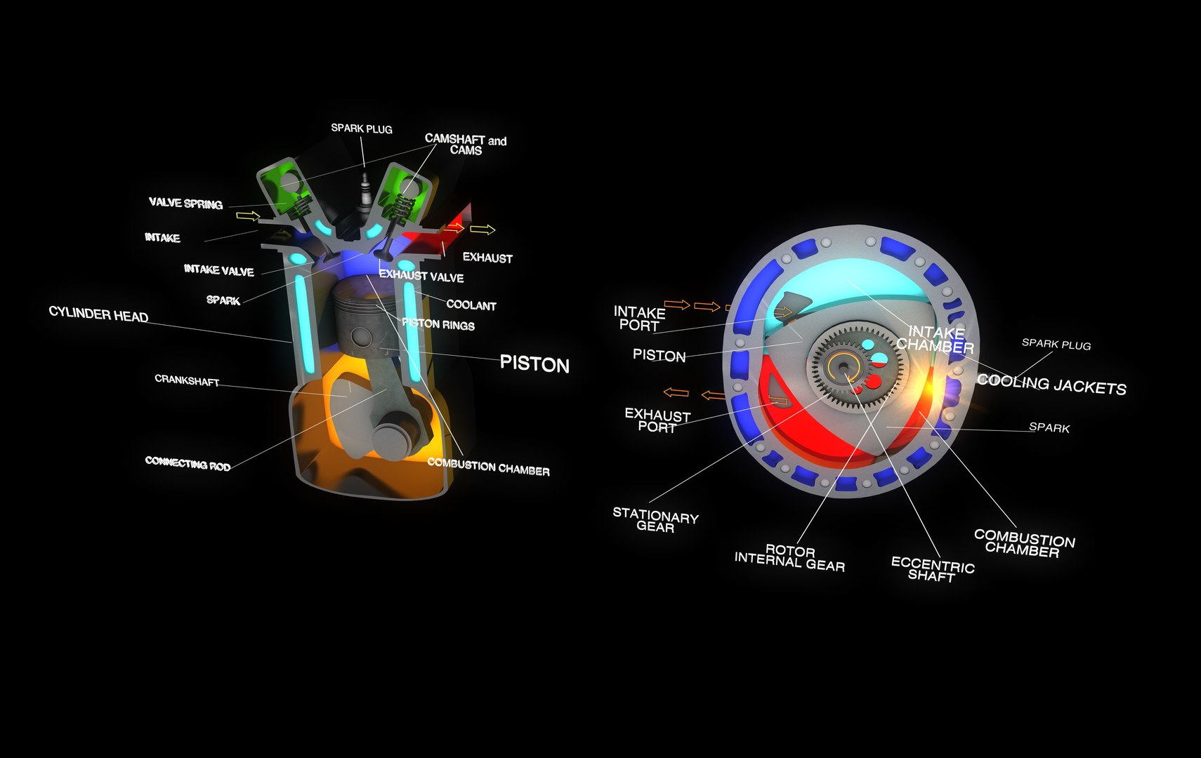 3d Educational Engine Rotary Model
