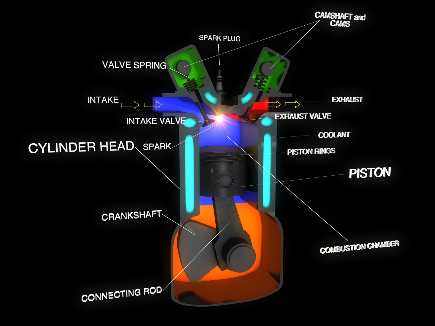 3d Educational Engine Rotary Model
