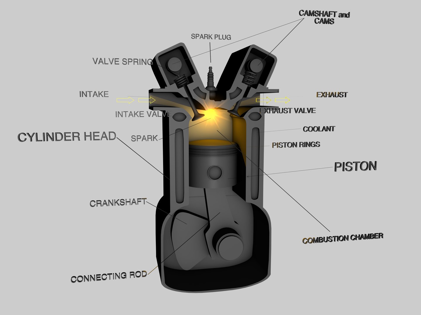 3d Educational Engine Rotary Model