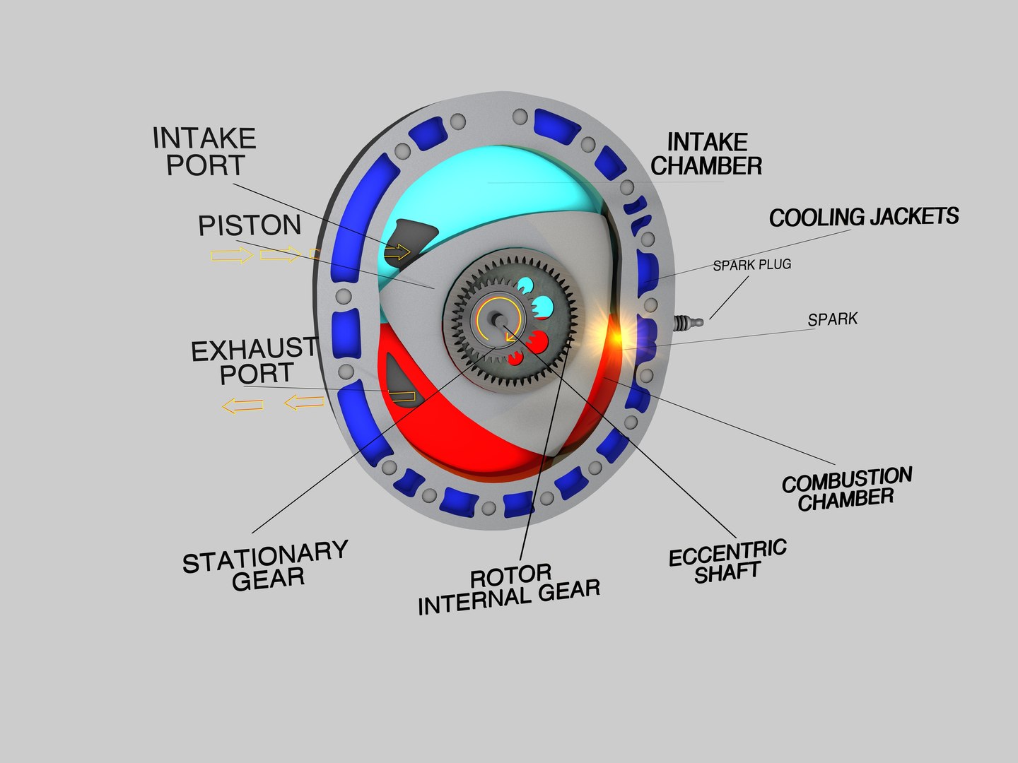 3d Educational Engine Rotary Model
