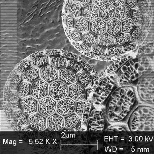 3d 60 micro objects 1 model