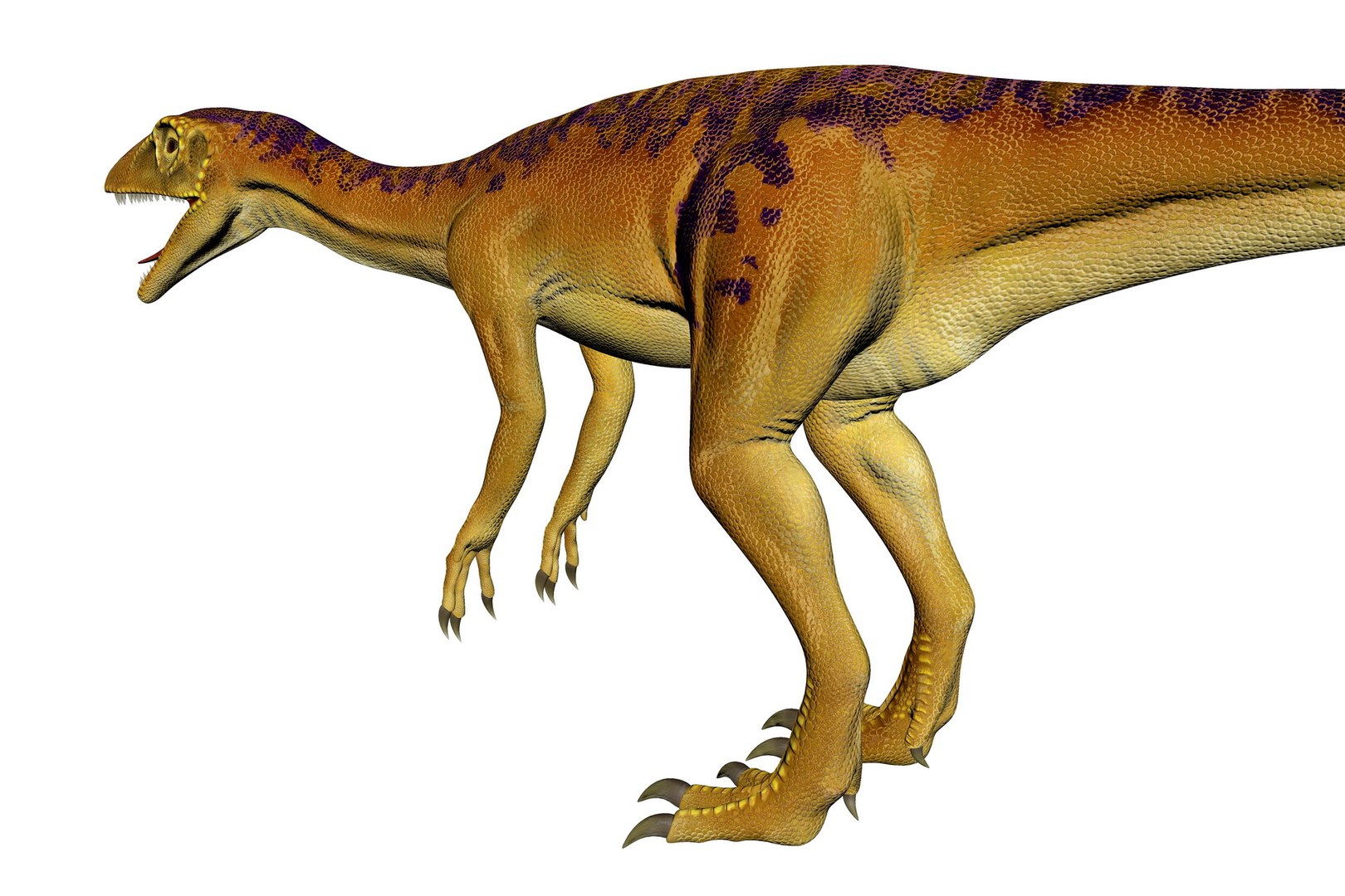 3D Panphagia Dinosaur Triassic Animal - TurboSquid 2335977