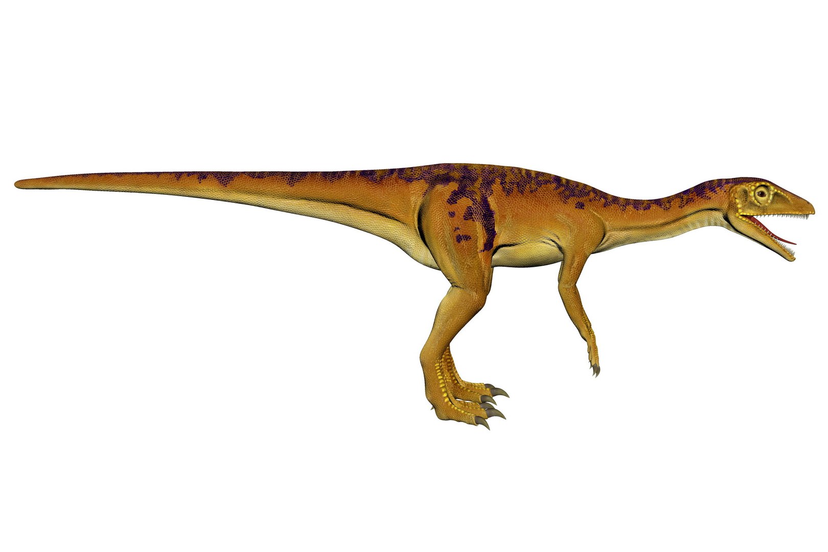 3D Panphagia Dinosaur Triassic Animal - TurboSquid 2335977