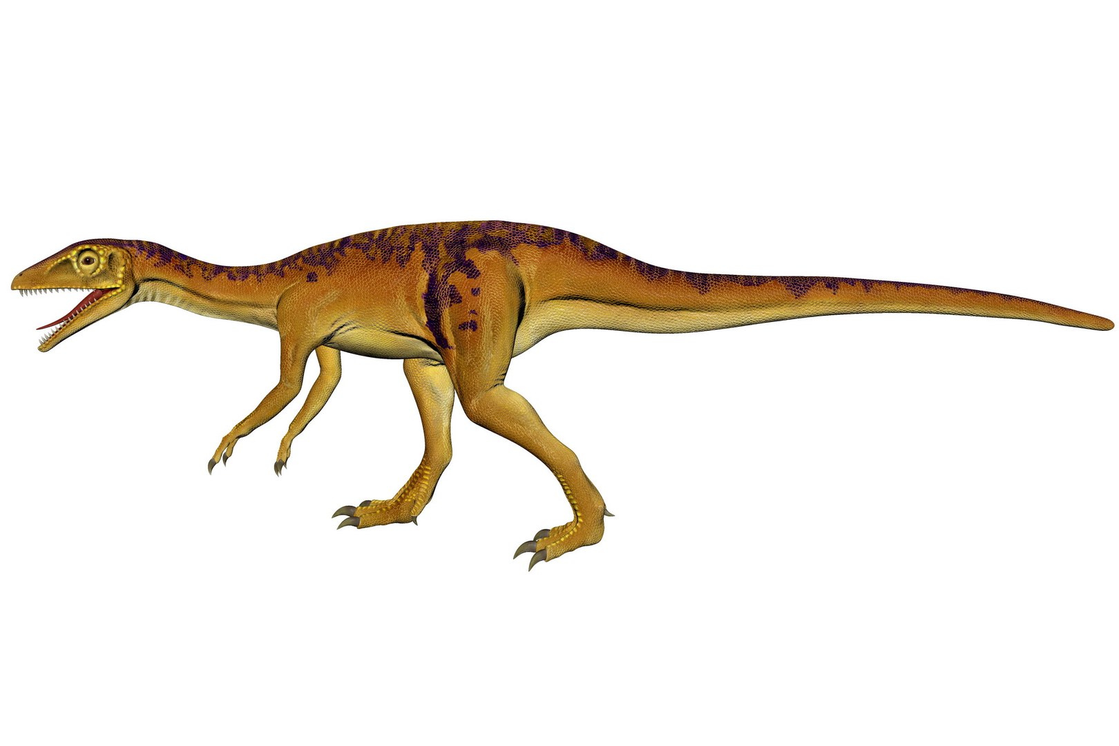 3D Panphagia Dinosaur Triassic Animal - TurboSquid 2335977