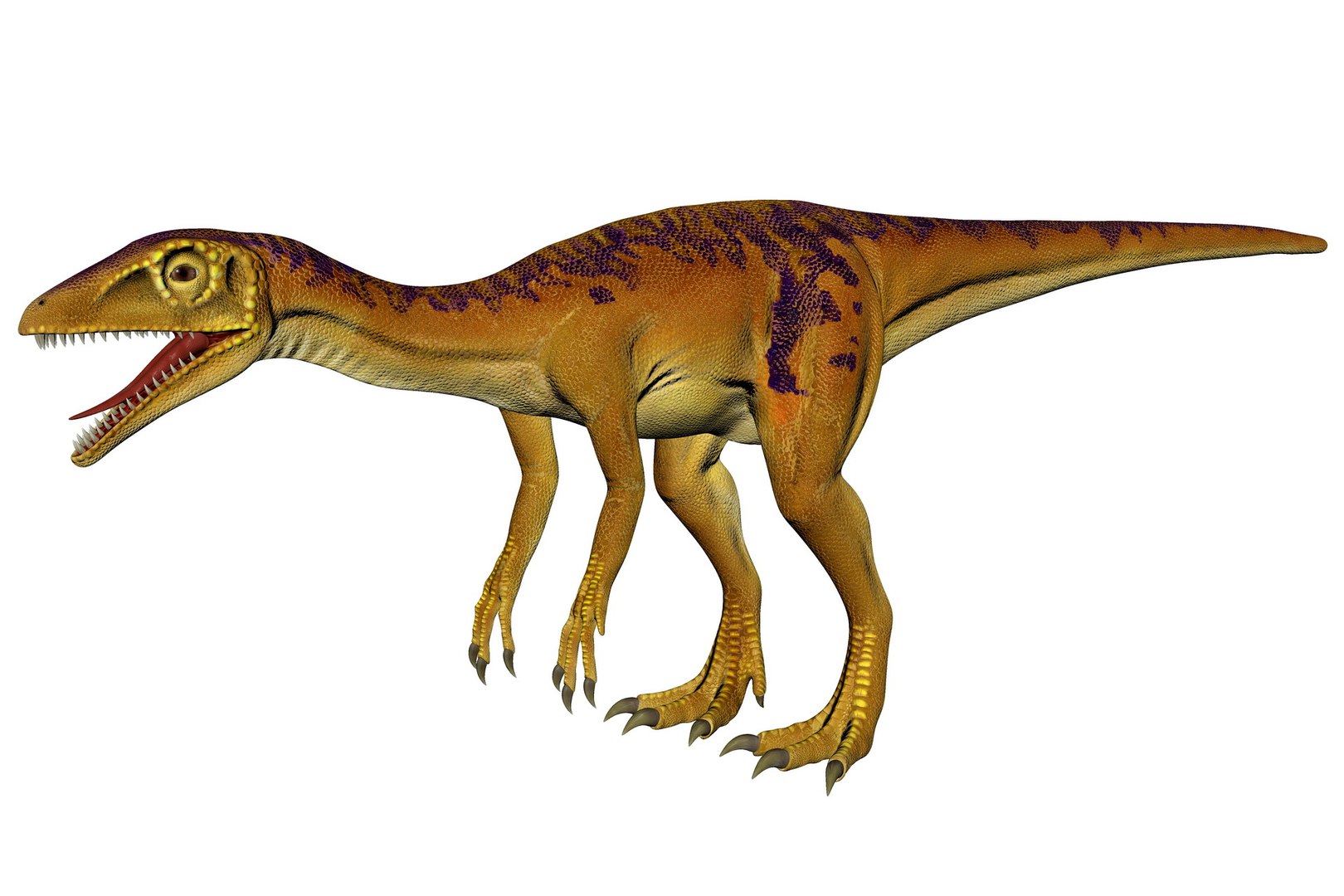 3D Panphagia Dinosaur Triassic Animal - TurboSquid 2335977