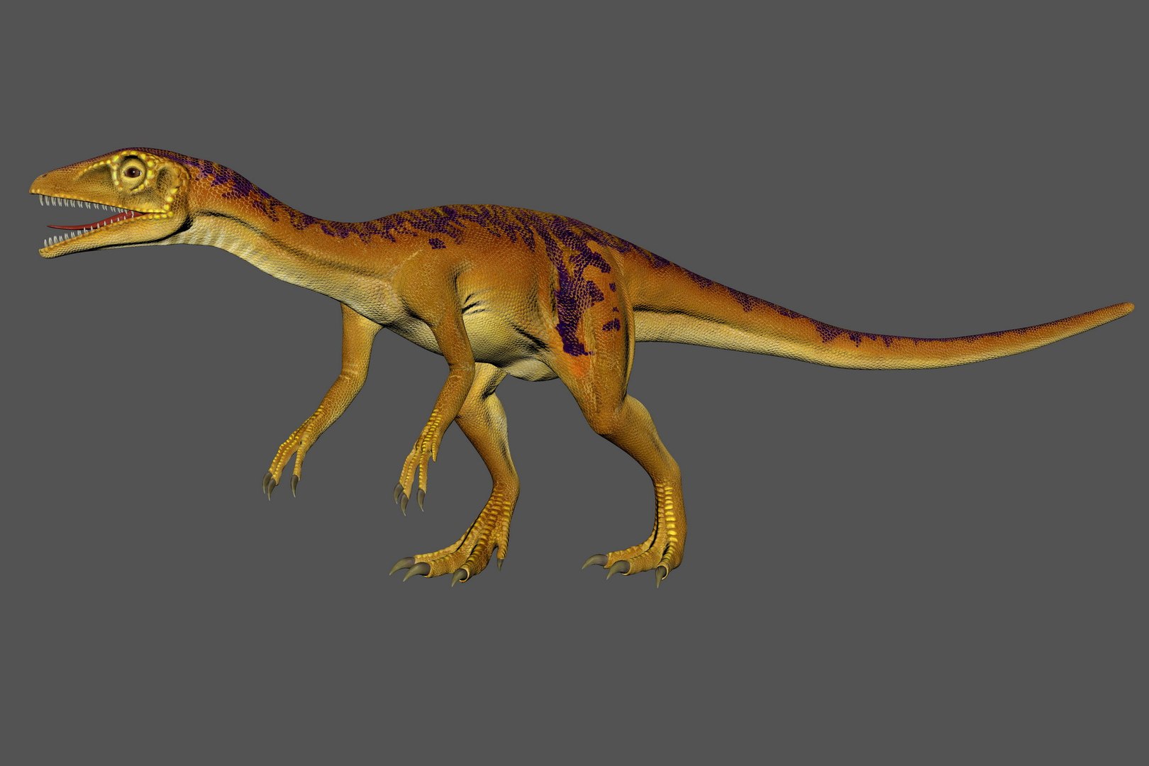 3D Panphagia Dinosaur Triassic Animal - TurboSquid 2335977