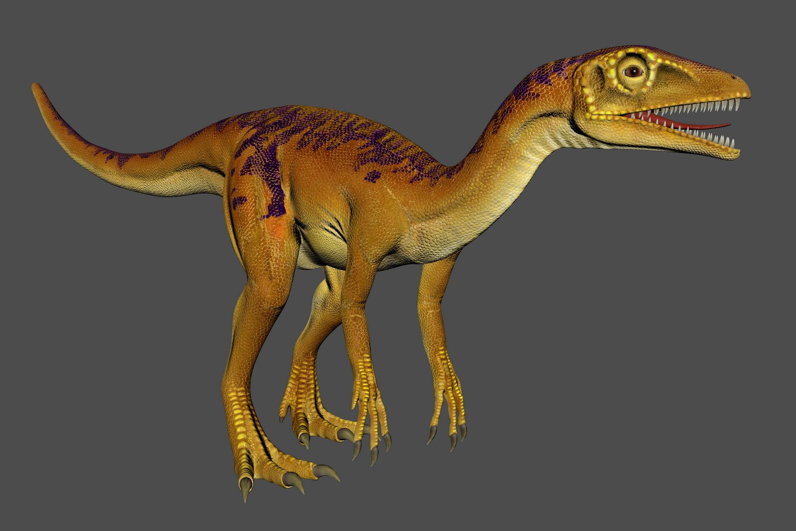 3D Panphagia Dinosaur Triassic Animal - TurboSquid 2335977