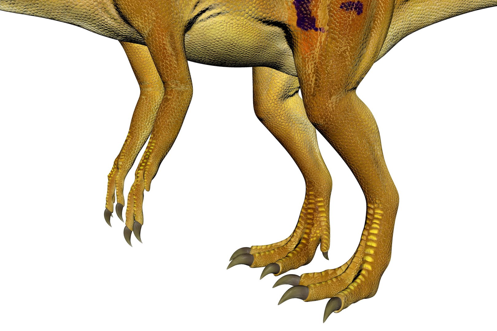 3D Panphagia Dinosaur Triassic Animal - TurboSquid 2335977