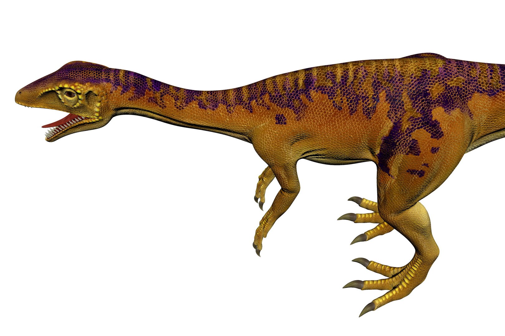 3D Panphagia Dinosaur Triassic Animal - TurboSquid 2335977