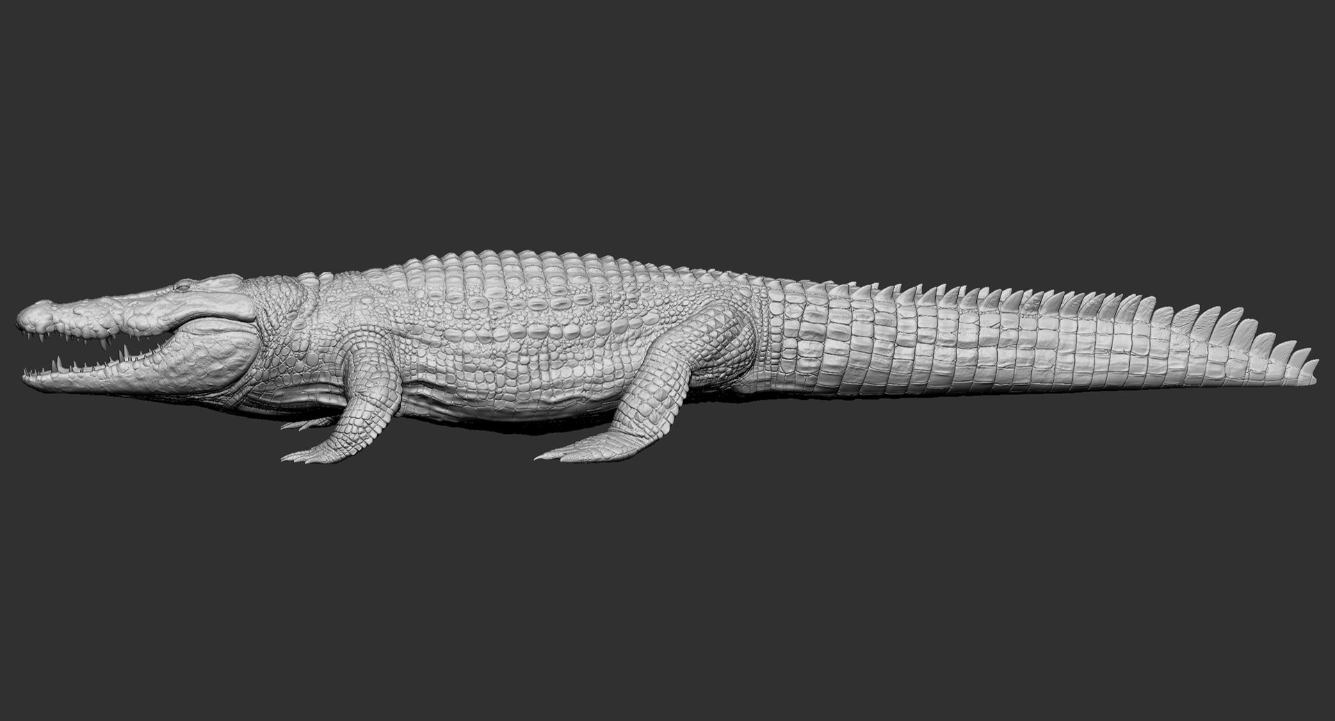 crocodile rigged 3d max