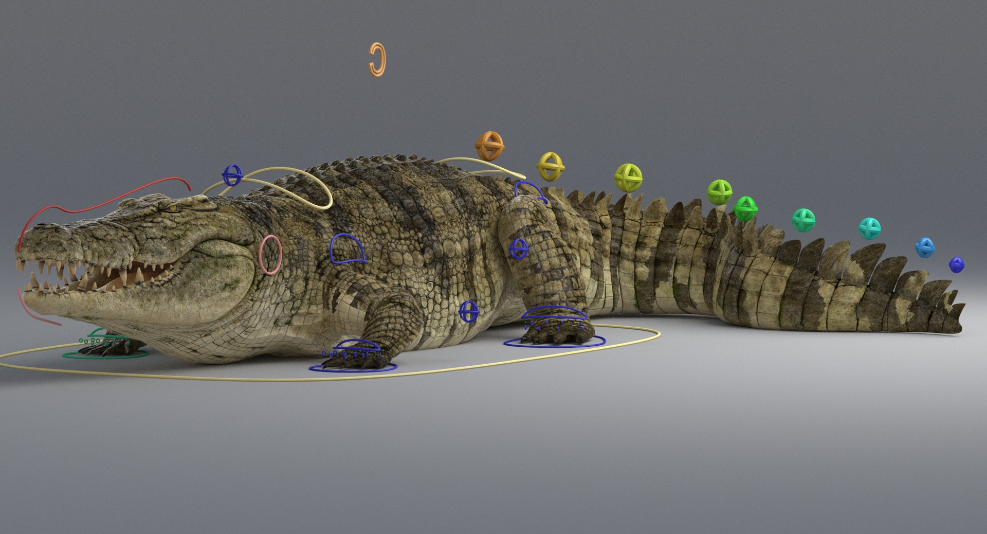 crocodile rigged 3d max