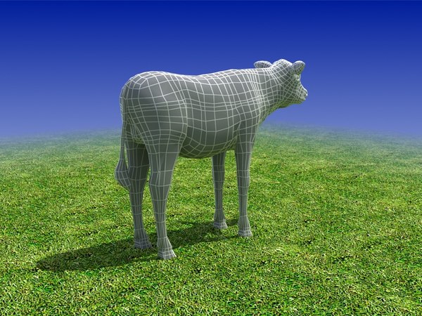 3d cow calf