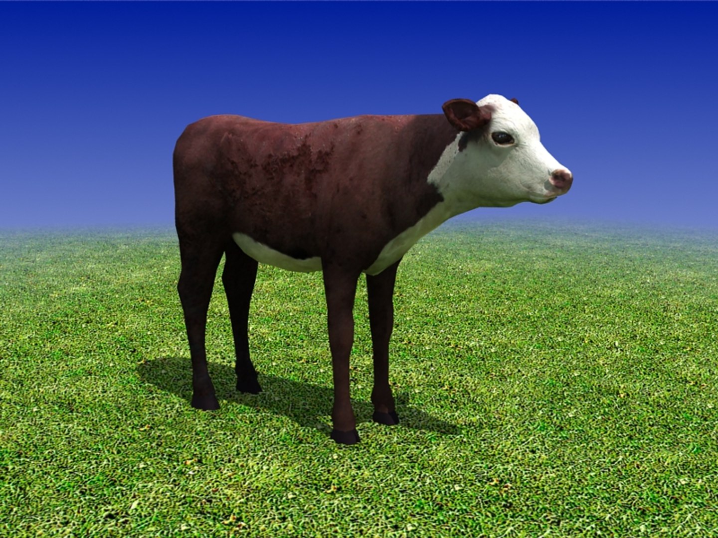 3d cow calf