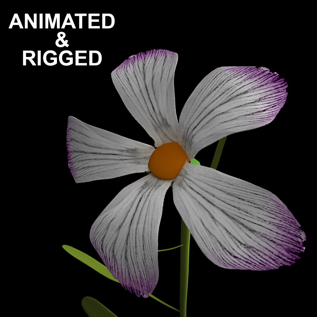 3D flowers open animation - TurboSquid 1588731