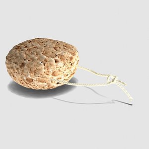 Bath Sponge 3D Models for Download | TurboSquid