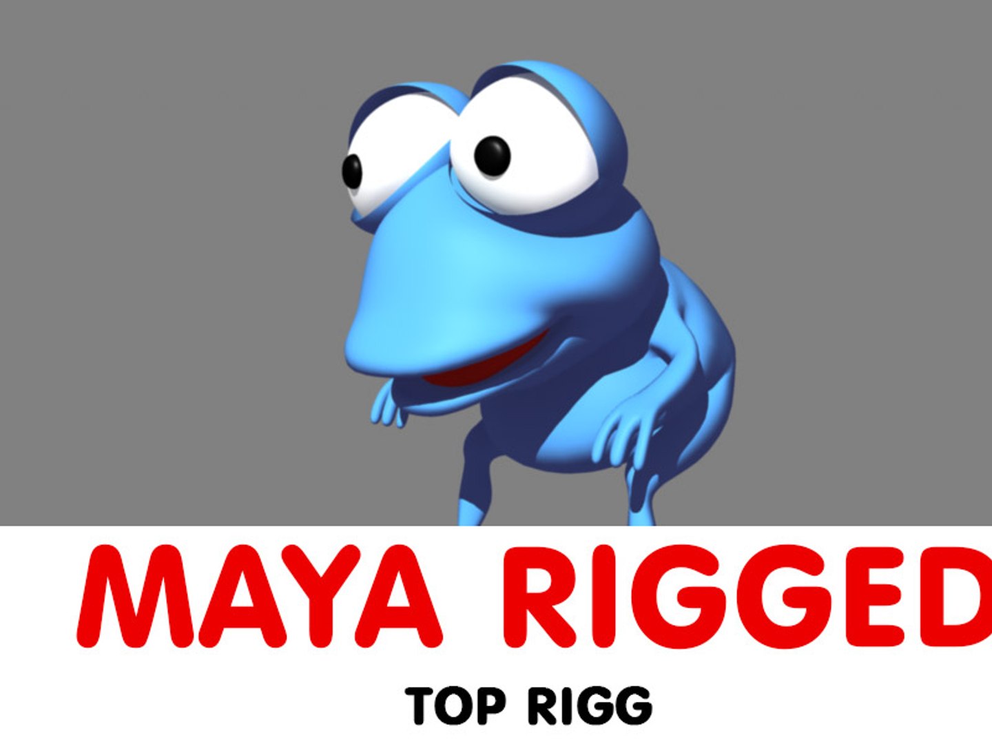 3d Frog Character Model