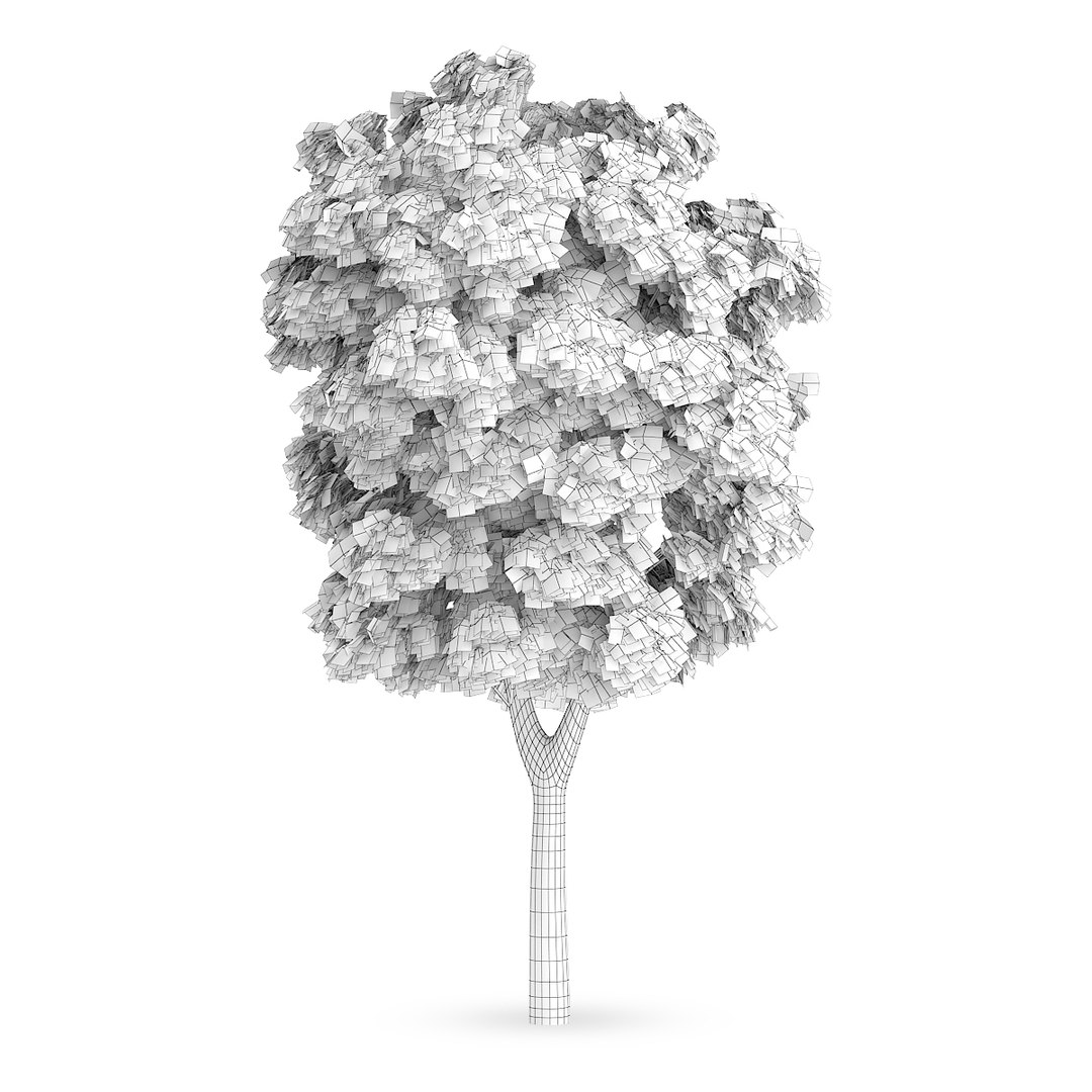 3d white ash tree fraxinus