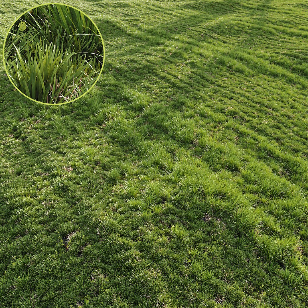 HQ Grass Agricultural Field 3D model - TurboSquid 2144871