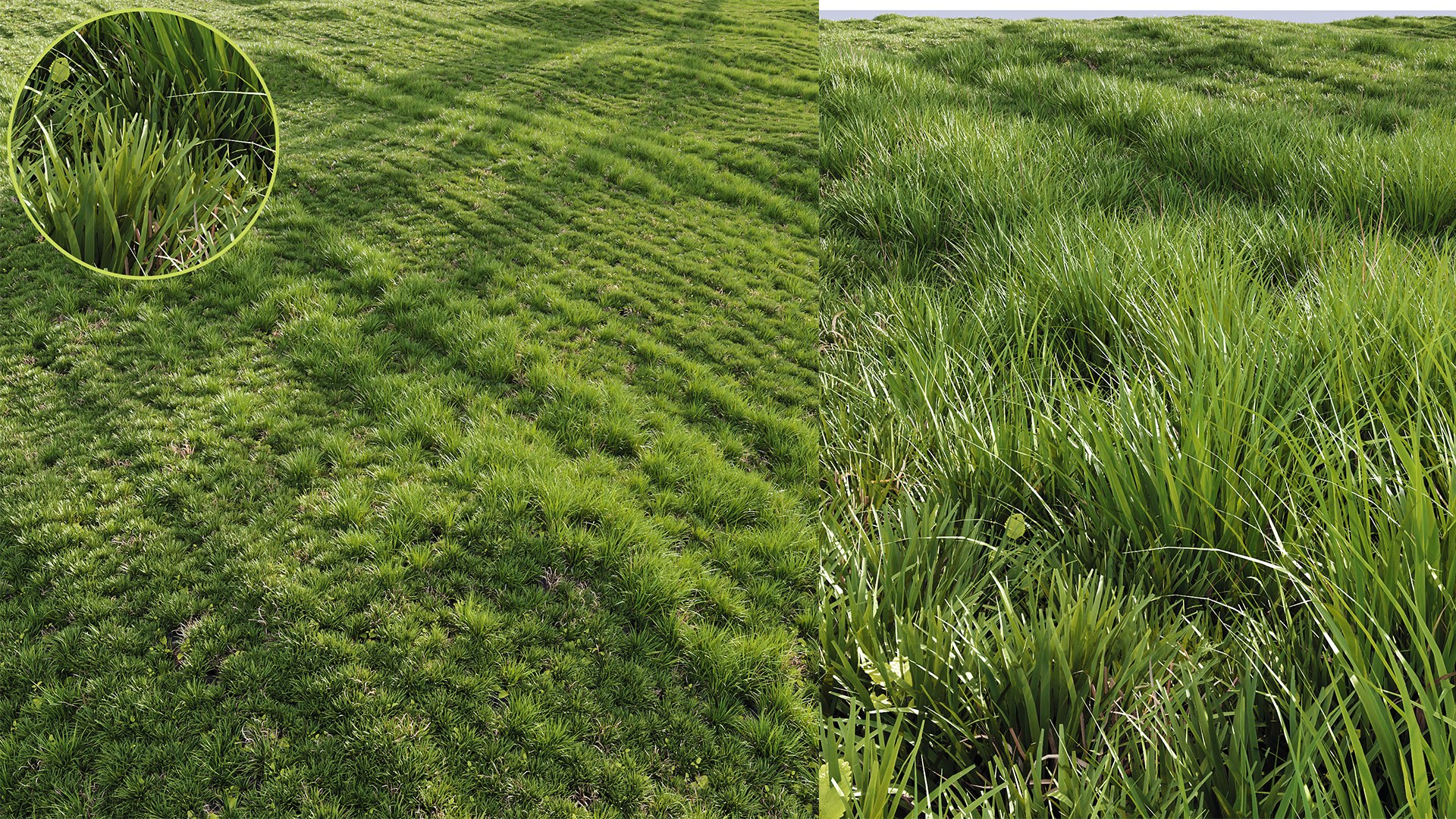 HQ Grass Agricultural Field 3D Model - TurboSquid 2144871