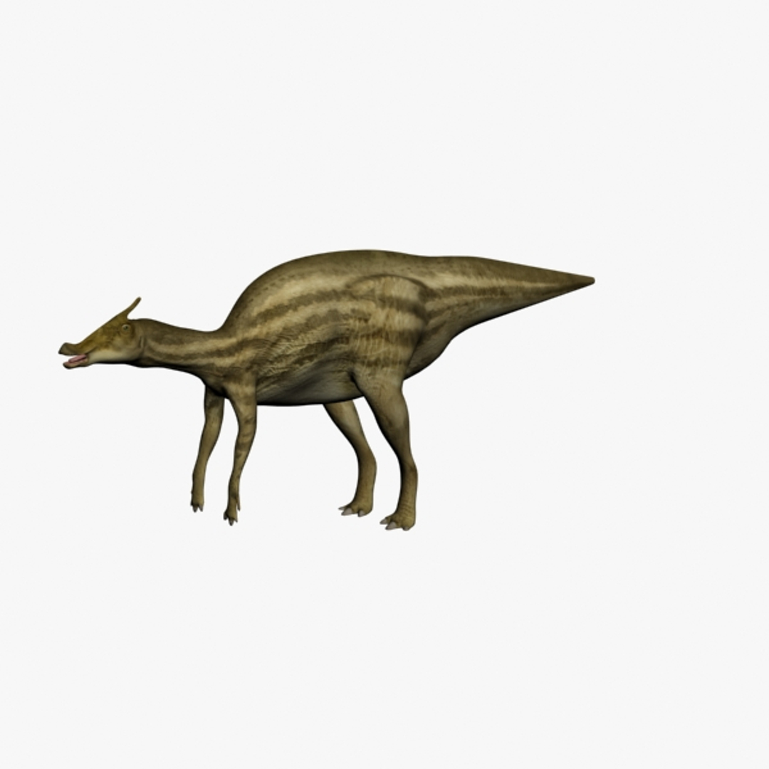 Saurolophus 3D Model - TurboSquid 1342892