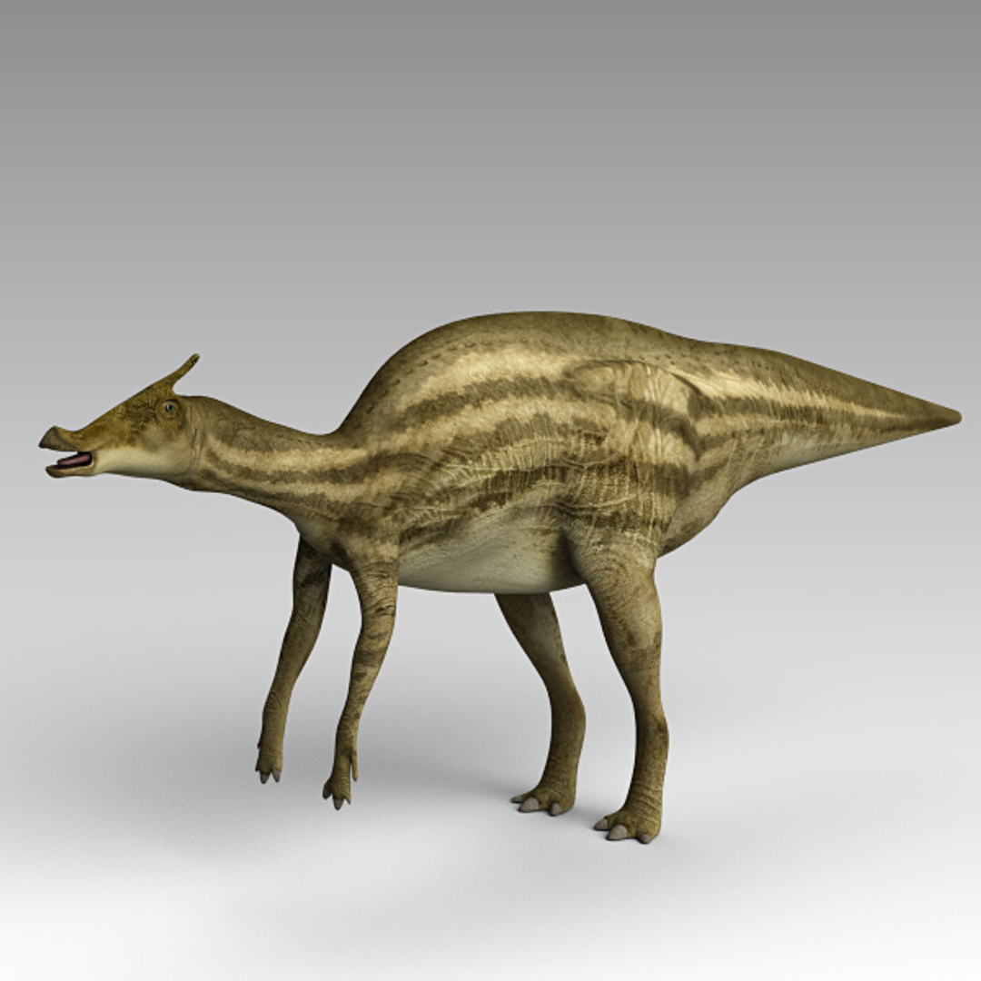Saurolophus 3D model - TurboSquid 1342892
