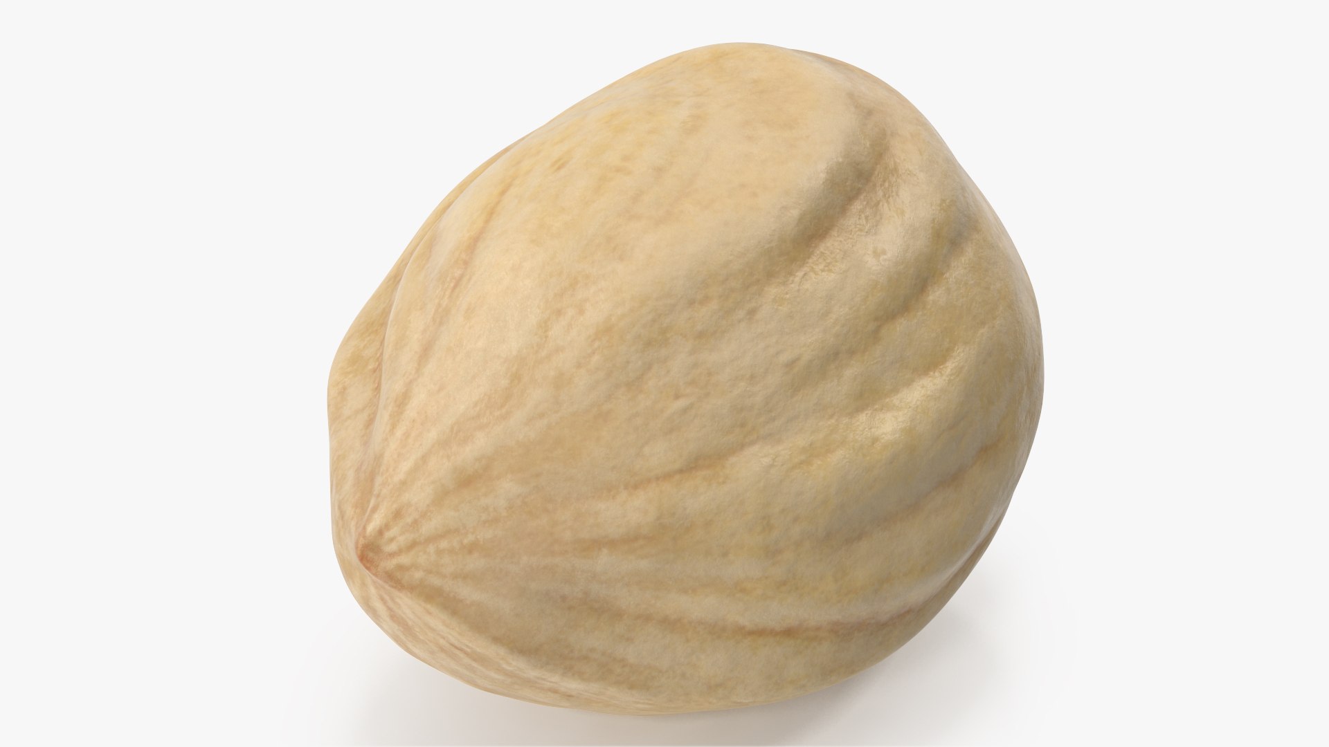 Hazelnut model - TurboSquid 1846542