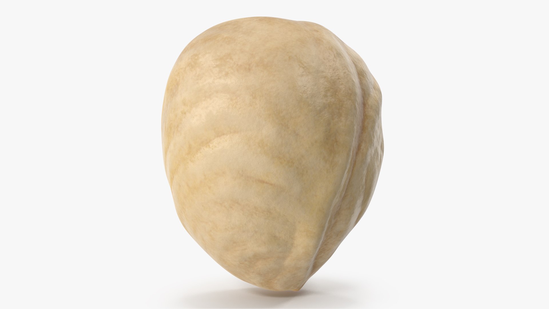 Hazelnut model - TurboSquid 1846542