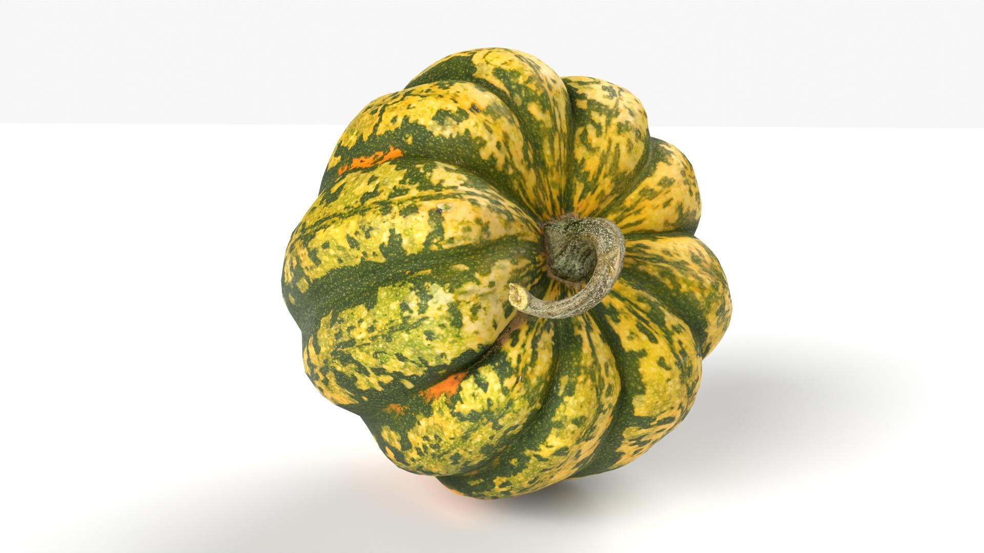 Carnival Squash Green Pumpkin PBR Scan Retopo 3D Model - TurboSquid 1987982