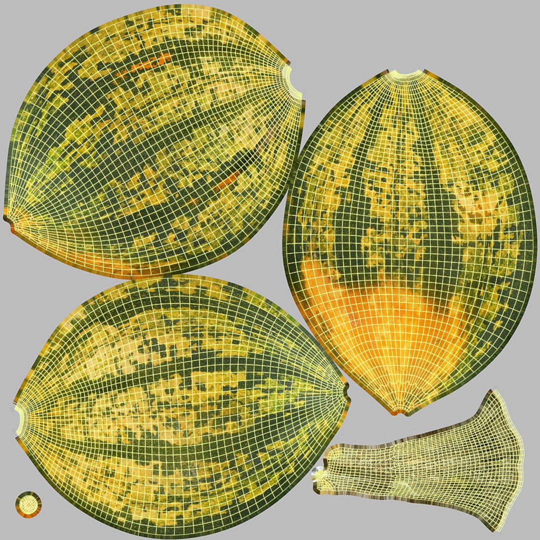 Carnival Squash Green Pumpkin PBR Scan Retopo 3D Model - TurboSquid 1987982