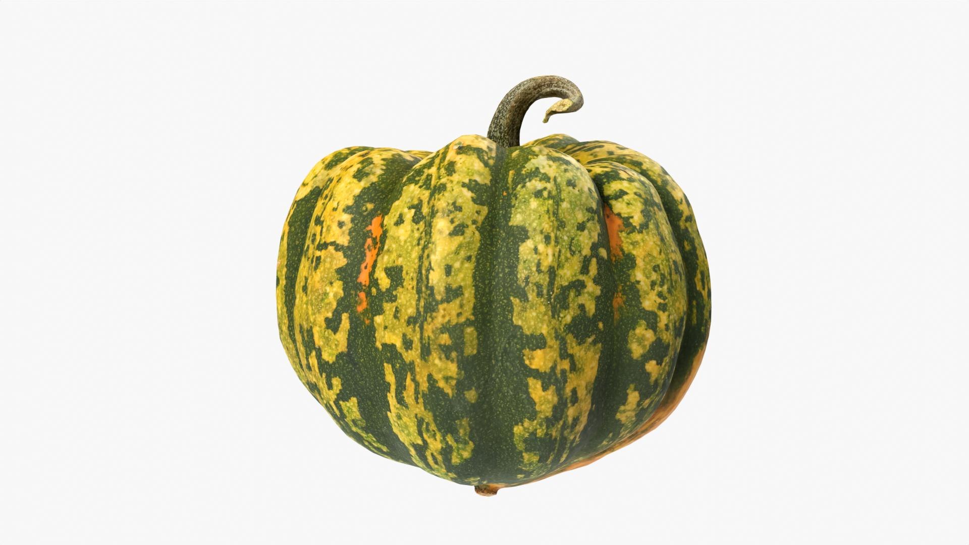 Carnival Squash Green Pumpkin PBR Scan Retopo 3D Model - TurboSquid 1987982