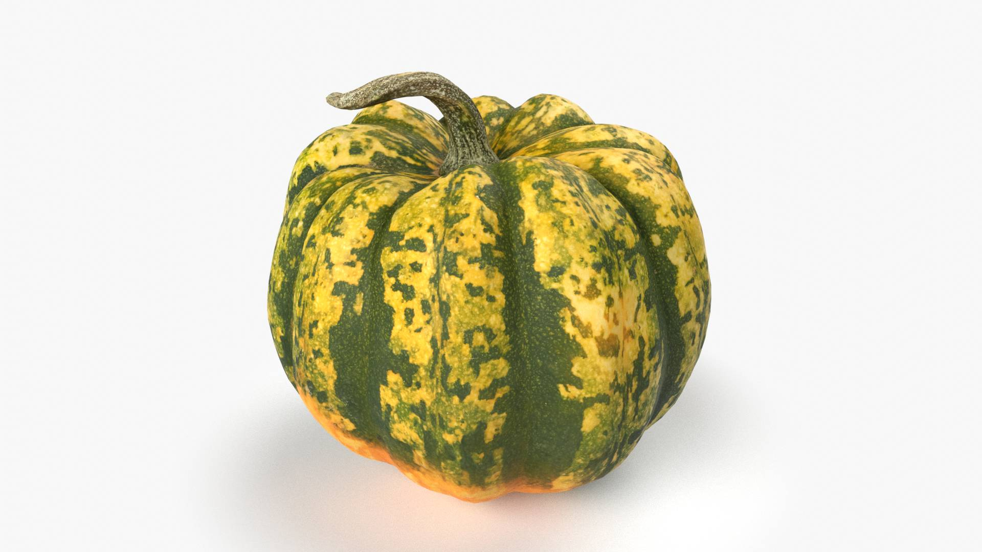 Carnival Squash Green Pumpkin PBR Scan Retopo 3D Model - TurboSquid 1987982