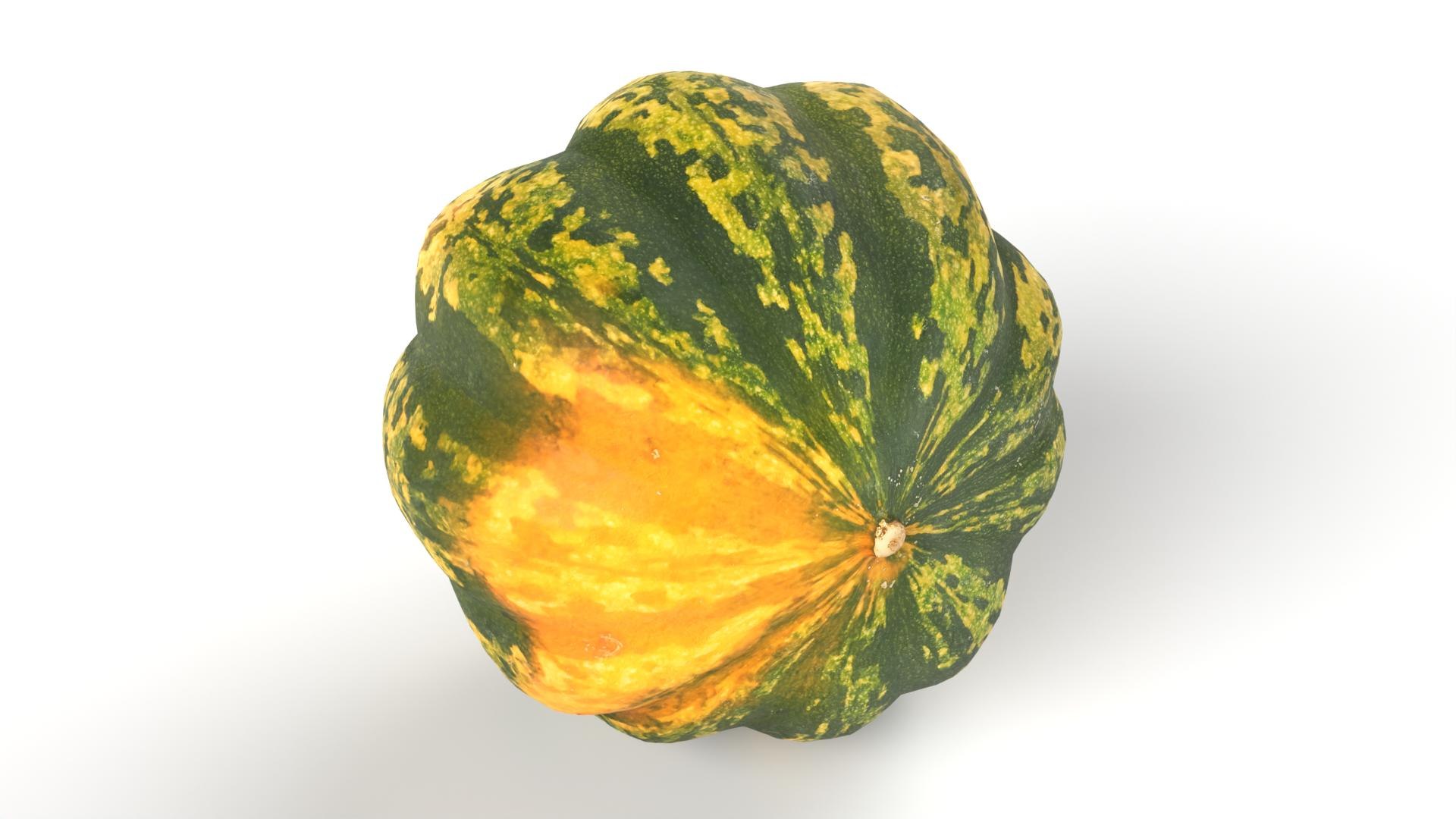 Carnival Squash Green Pumpkin PBR Scan Retopo 3D Model - TurboSquid 1987982
