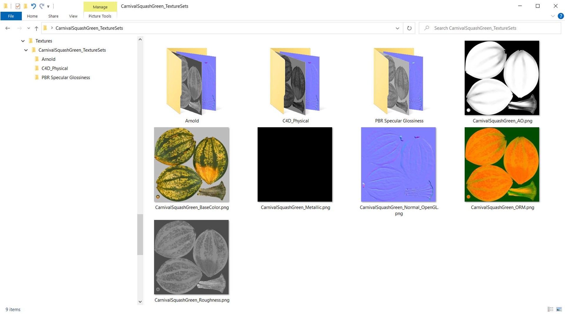 Carnival Squash Green Pumpkin PBR Scan Retopo 3D Model - TurboSquid 1987982