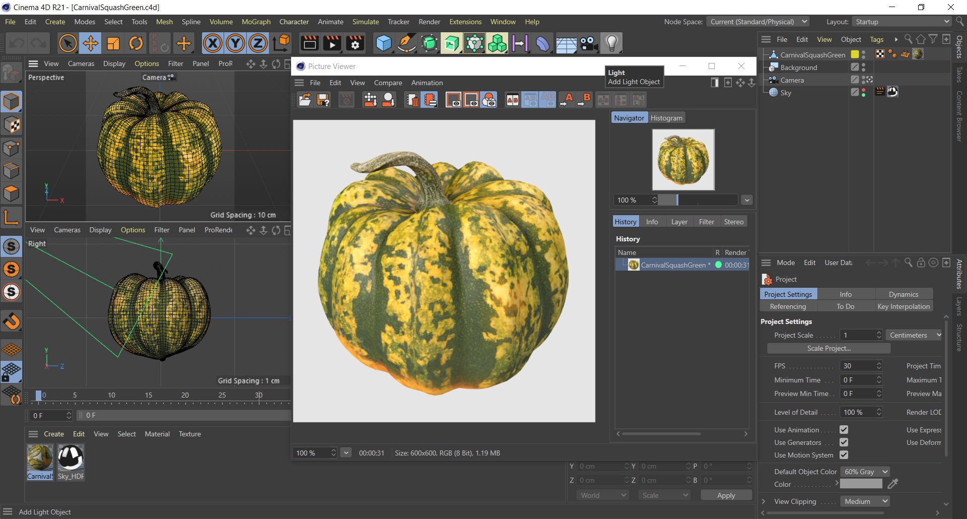 Carnival Squash Green Pumpkin PBR Scan Retopo 3D Model - TurboSquid 1987982