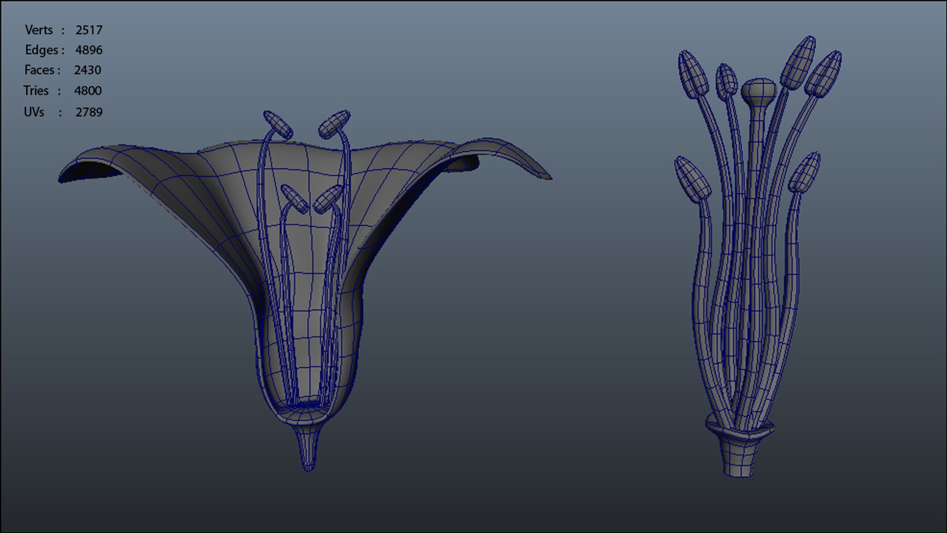 3d Length Stamen Model