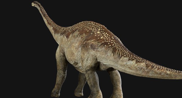 V-ray rig 3D model - TurboSquid 1419078