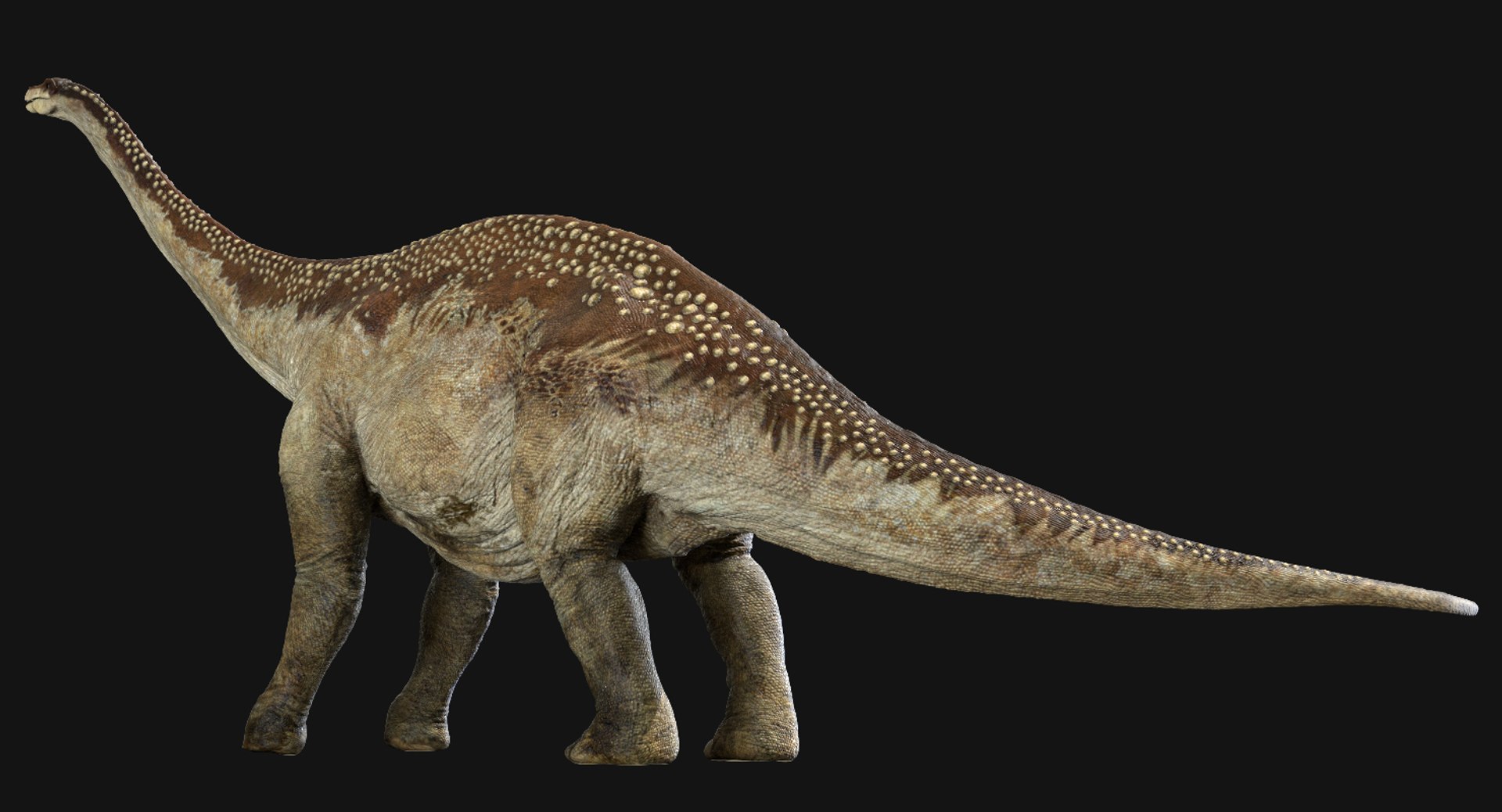 V-ray Rig 3D Model - TurboSquid 1419078